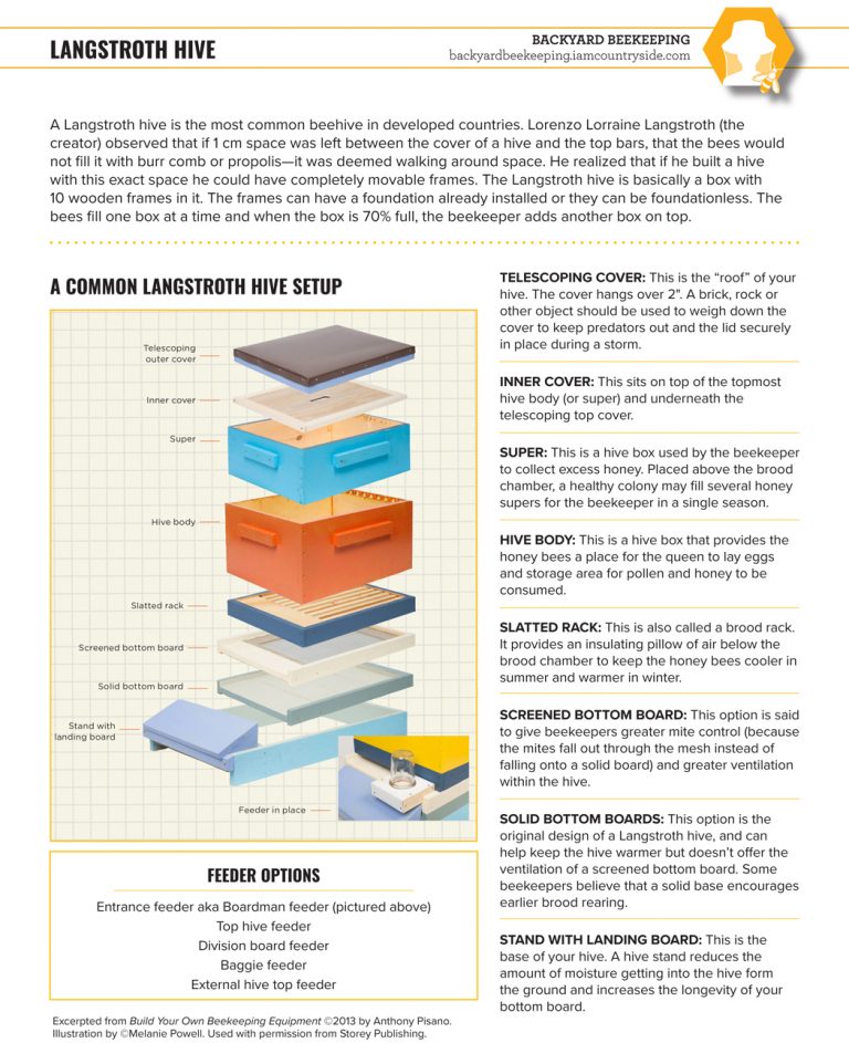 Common Langstroth Hive Setup - Backyard Beekeeping